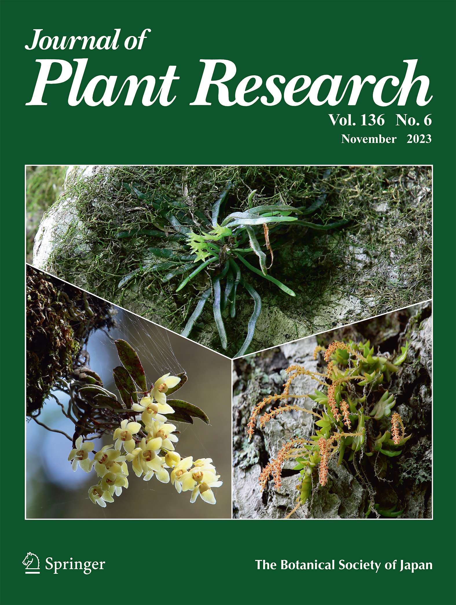 2023年11月号（Vol.136 No.6)